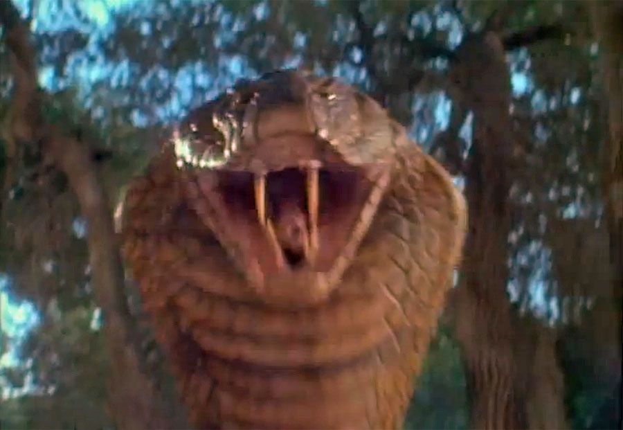King Cobra 1999 King Cobra 1999